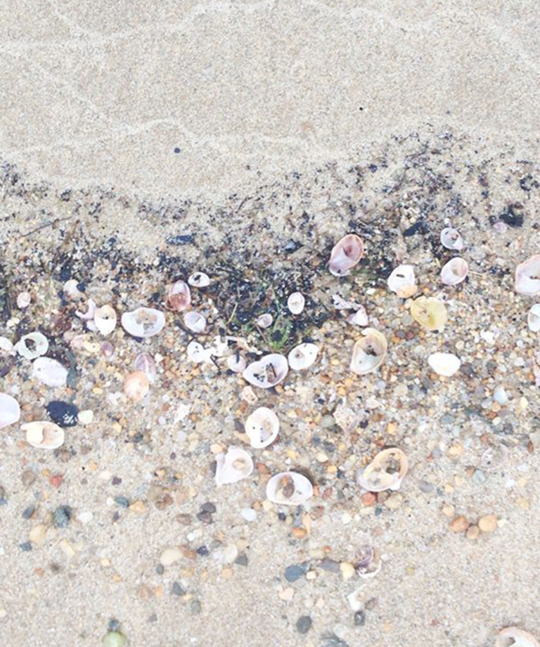 Inicio • Sublim Beach