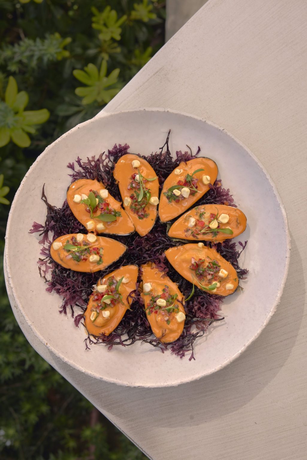 Inicio • Sublim Beach